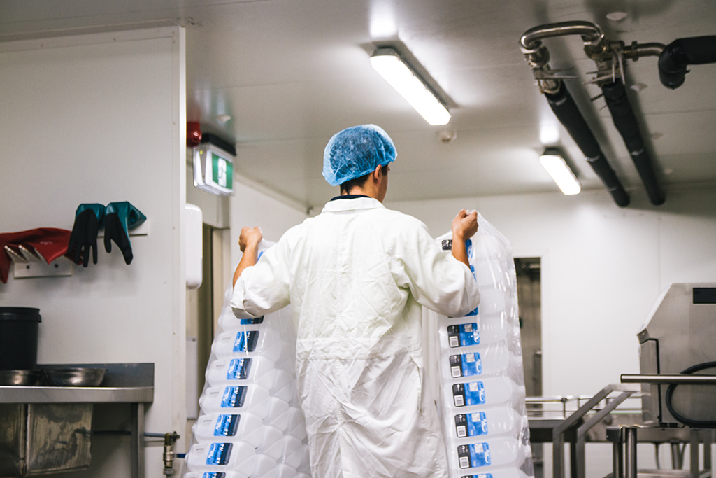 Apollo Visual - Fleurieu Milk Company